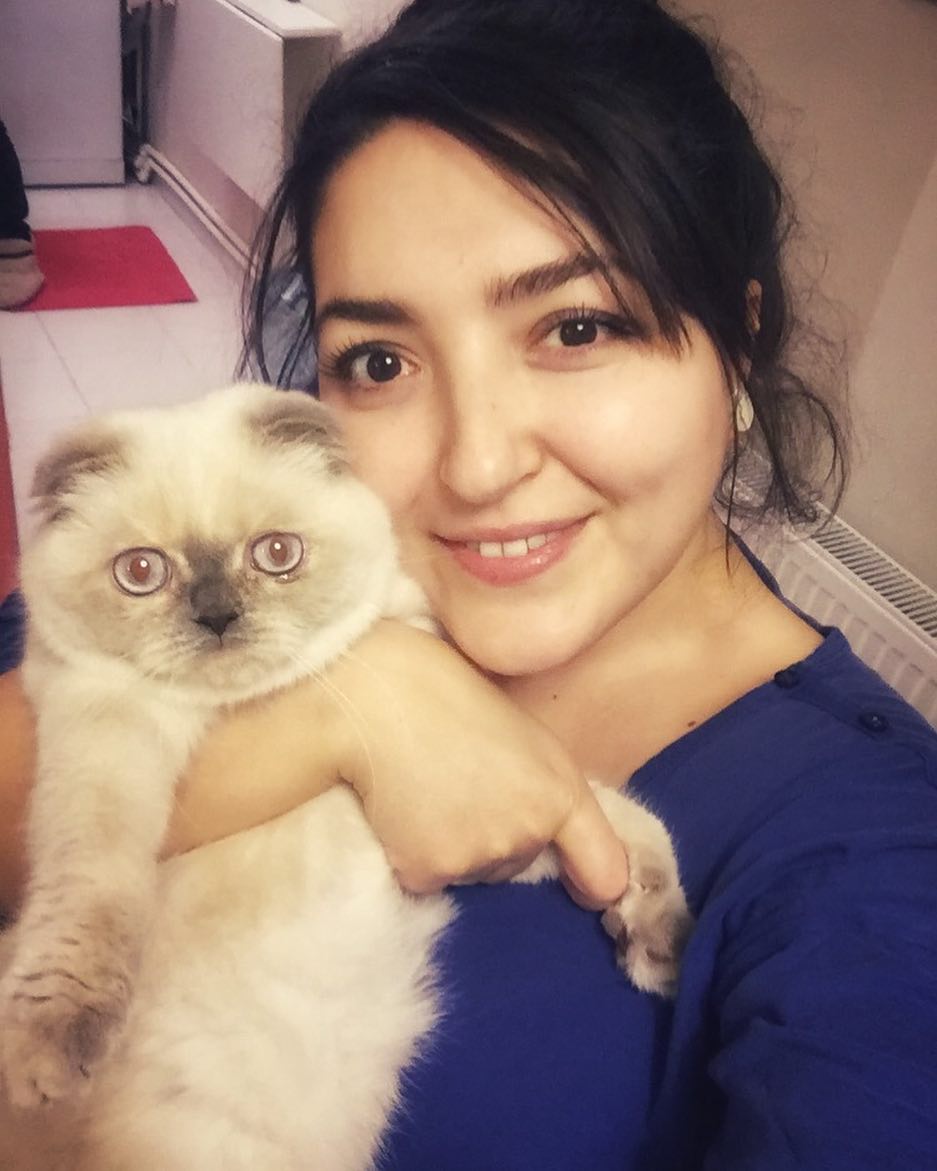 Melek Seven - Screenwriter - Dizilah