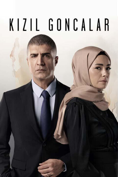 Mina Demirtaş TV Series, Biography - Dizilah