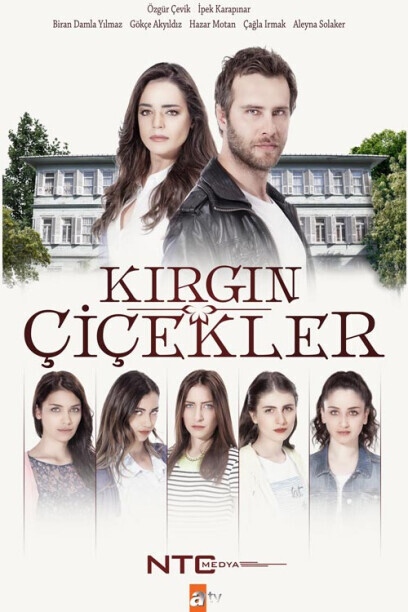 ATV Turkish Shows - Dizilah